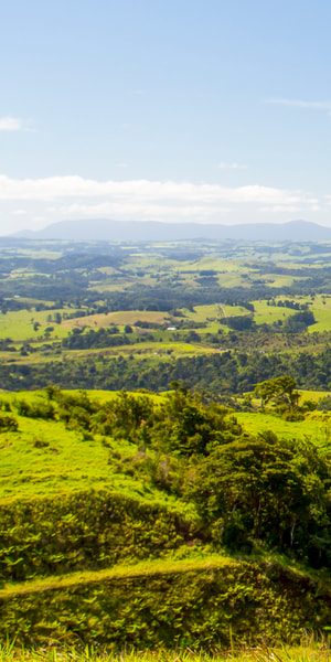 From Cairns: Atherton Tablelands Food and Wine Tasting Tour | GetYourGuide