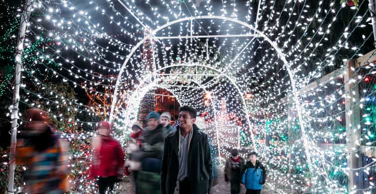 Vancouver: Christmas Lights Double Decker Tour with Karaoke | GetYourGuide