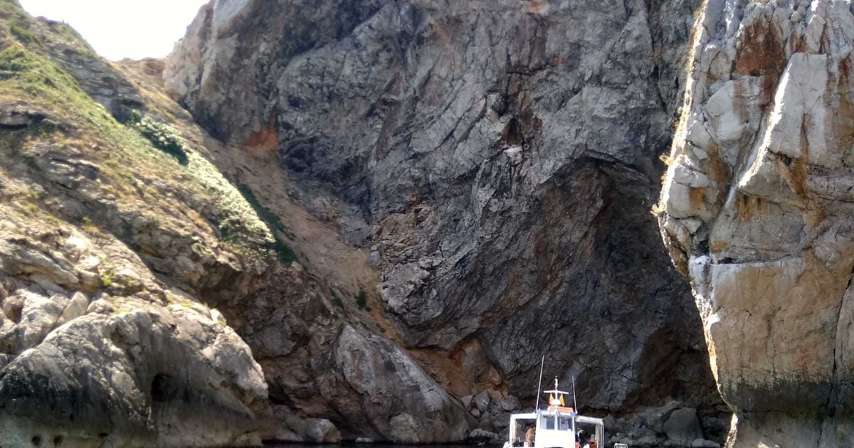 Desde L'Estartit: Excursión de 2,5 horas para hacer snorkel | GetYourGuide