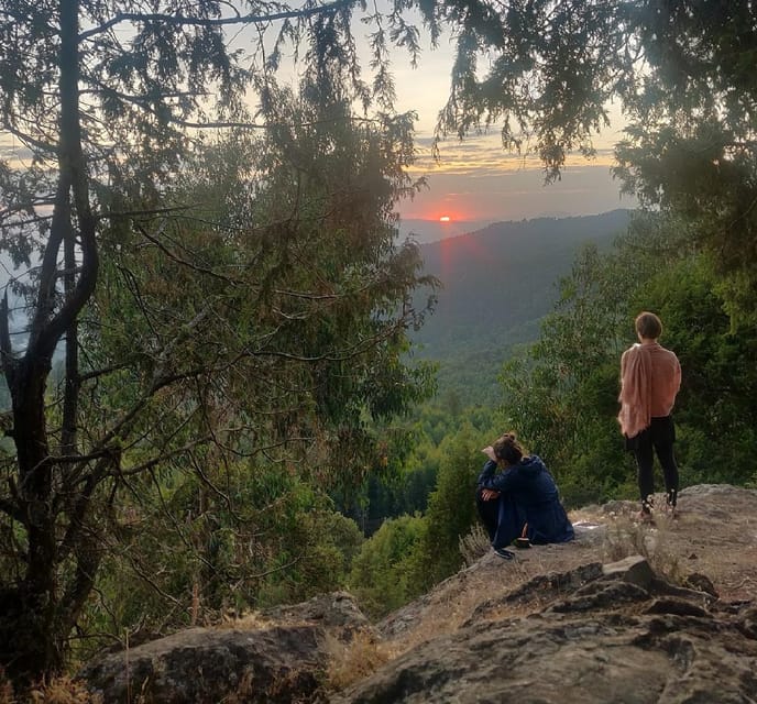 Addis Abeba: Debre Libanos, wąwóz Nilu Błękitnego i wycieczka do ...
