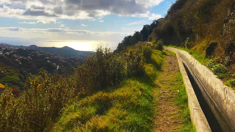 Funchal: Northern Levada Walking Tour | GetYourGuide