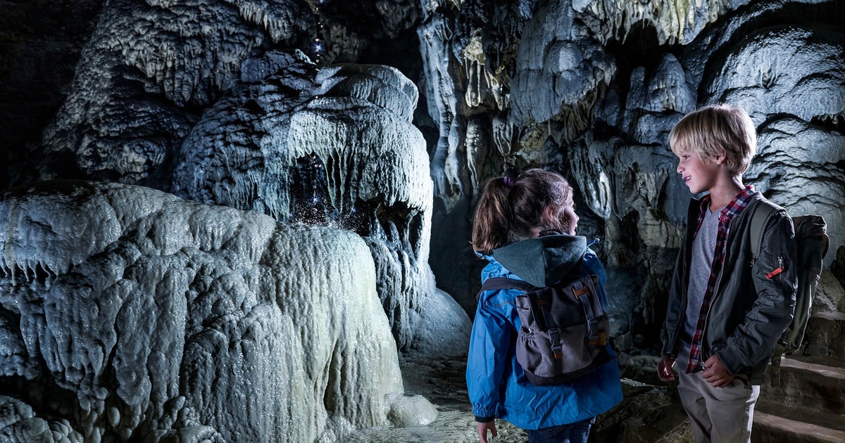 Rochefort: Caves of Han & Wildlife Park Bundle Entry Ticket | GetYourGuide