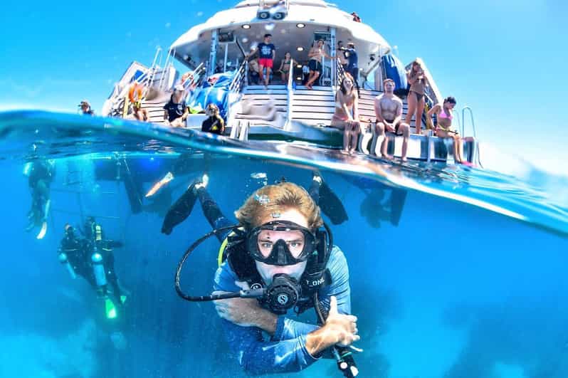 Cairns: 2-Day Great Barrier Reef & Daintree Rainforest Tour | GetYourGuide