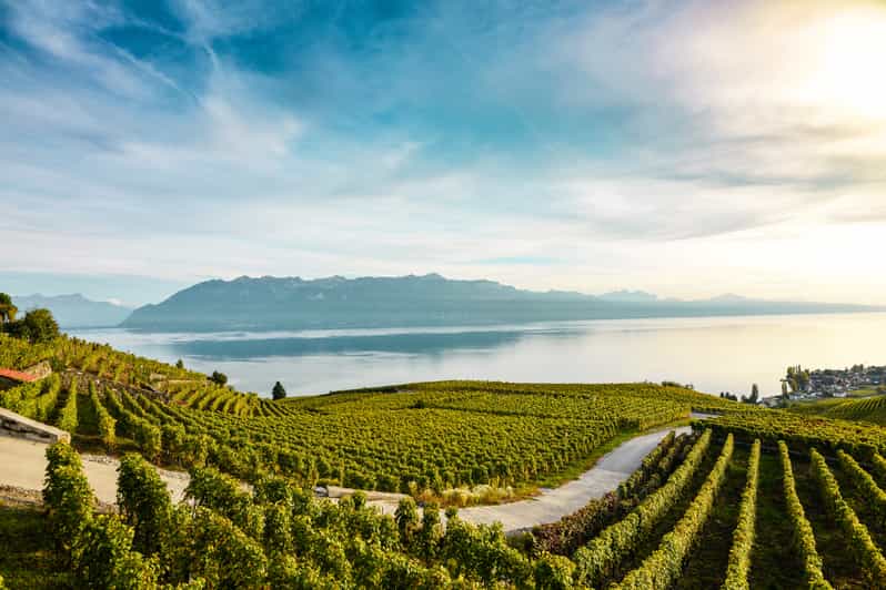 Private Tour nach Gruyeres mit Käse- und Schokoladenfabrik | GetYourGuide