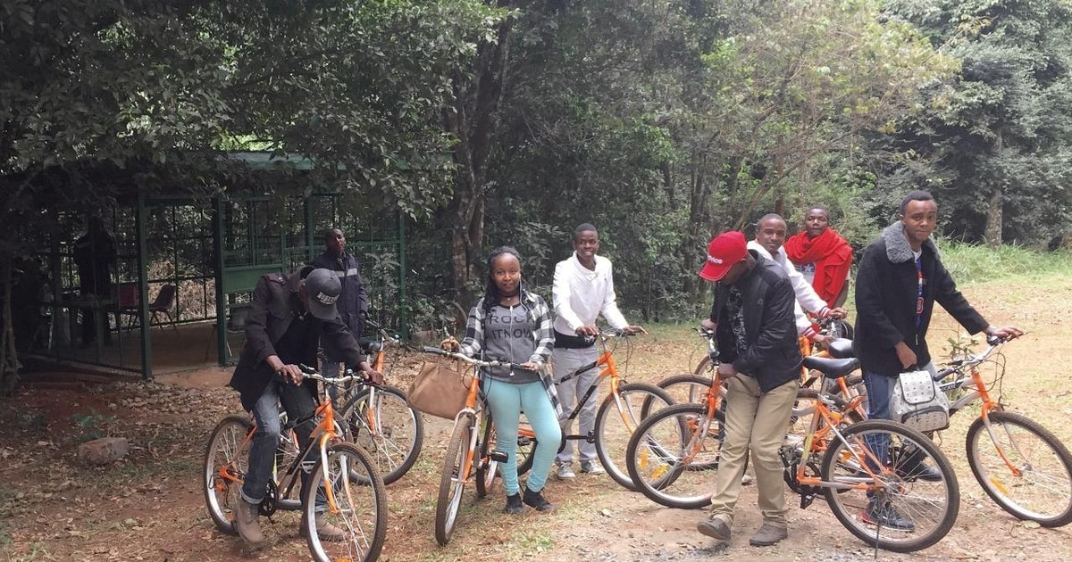 From Nairobi: Karura Forest Nature Hike | GetYourGuide