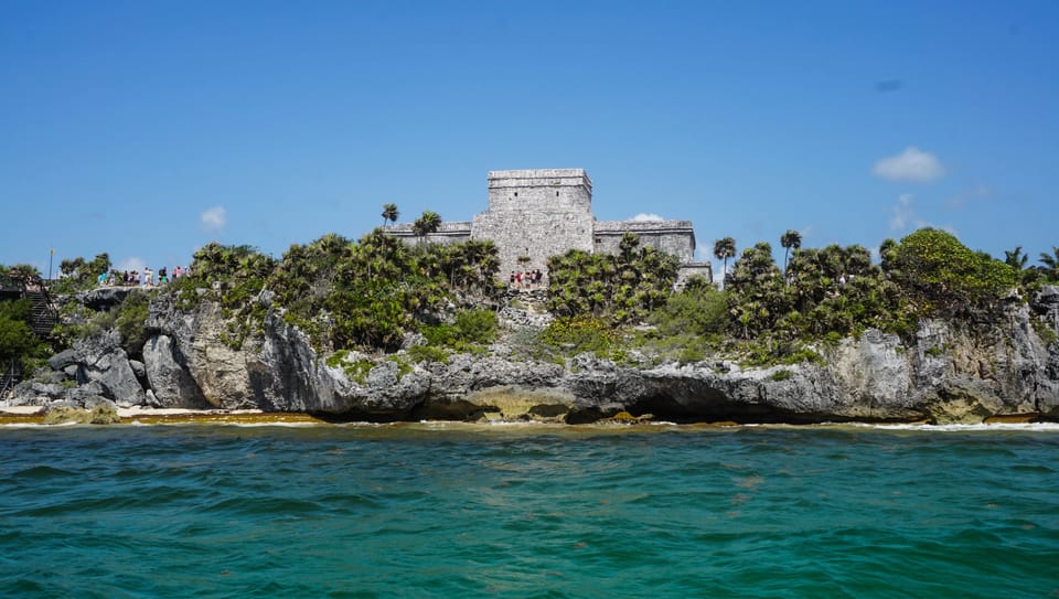Vanuit Riviera Maya: tour halve dag schildpadden en cenotes | GetYourGuide