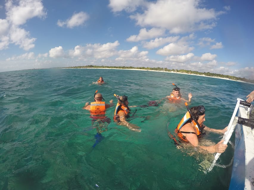 Vanuit Riviera Maya: tour halve dag schildpadden en cenotes | GetYourGuide