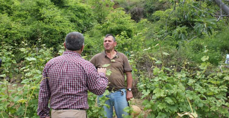 District Elbasan: de BESTE tours en dingen om te doen in 2023 - GRATIS ...