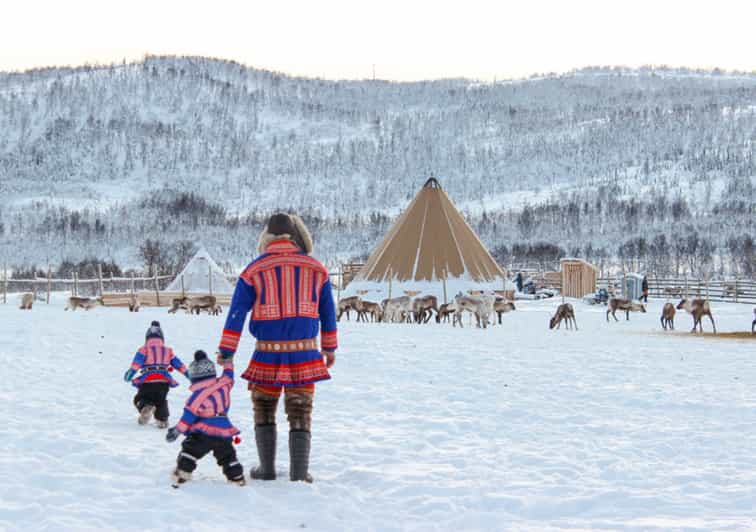 Tromsø: Reindeer Sledding & Feeding with a Sami Guide | GetYourGuide