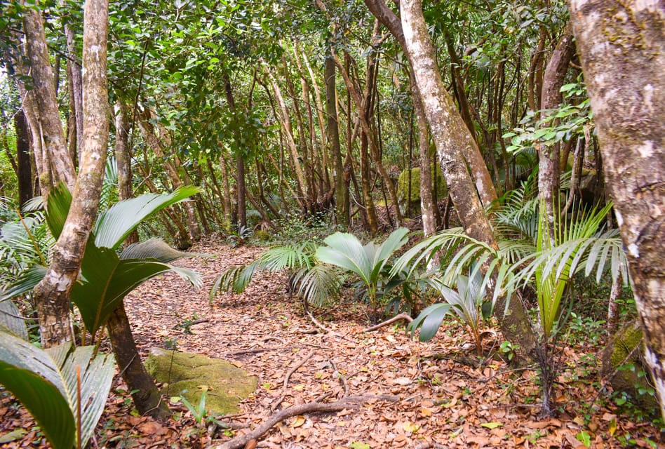 Private nature trail/hiking (1-4 persons) | GetYourGuide