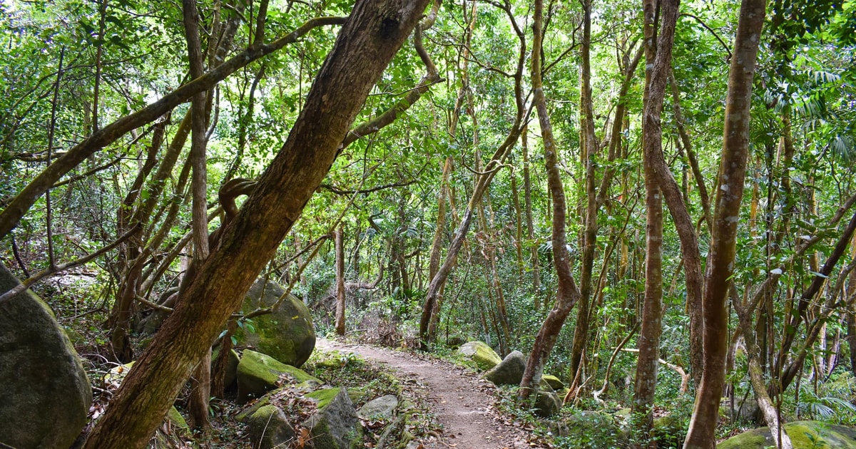 Private nature trail/hiking (8-10 Persons) | GetYourGuide