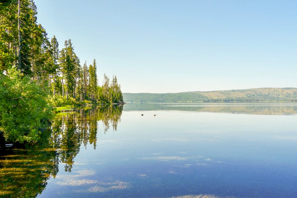 Yellowstone: Private Lewis Lake Fishing Trip From Jackson | GetYourGuide