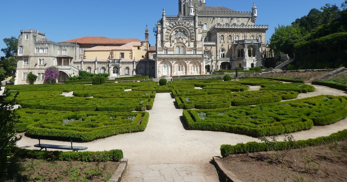 An adventure through the Forest and Palace of Bussaco - Coim | GetYourGuide
