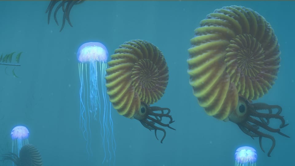 Queenstown: experiencia submarina Time Tripper | GetYourGuide