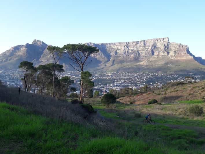Κέιπ Τάουν: Mountain Bike από το Table Mountain στην Constantia ...
