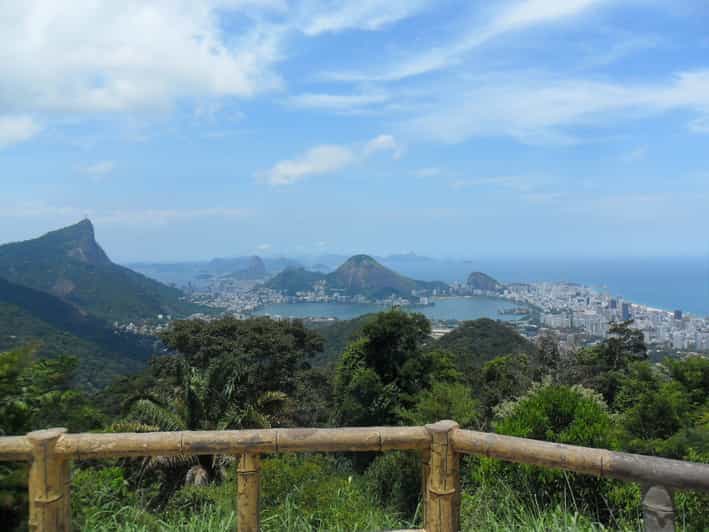 Rio de Janeiro: Tijuca's Peak Hiking Tour | GetYourGuide