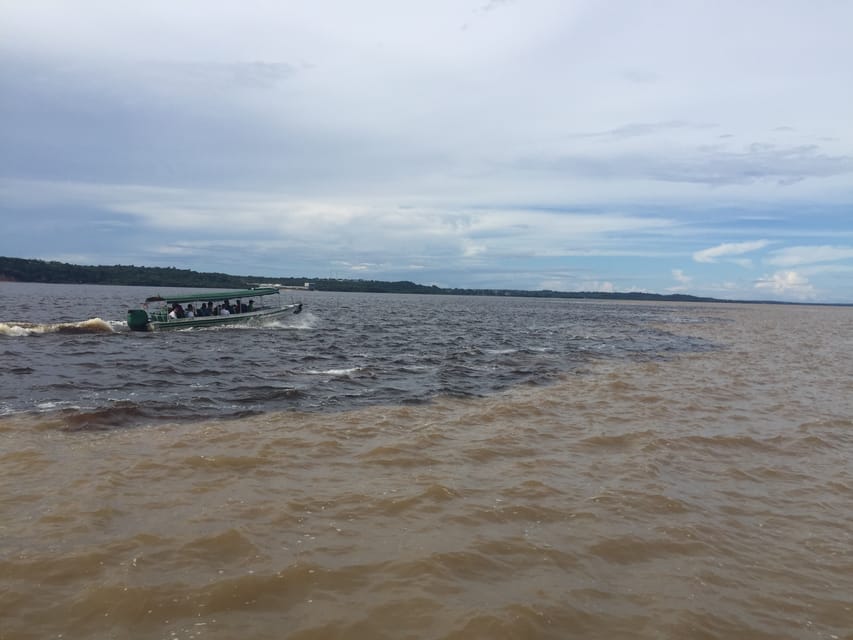 Manaus: 2-Day River Tour With Overnight Stay | GetYourGuide