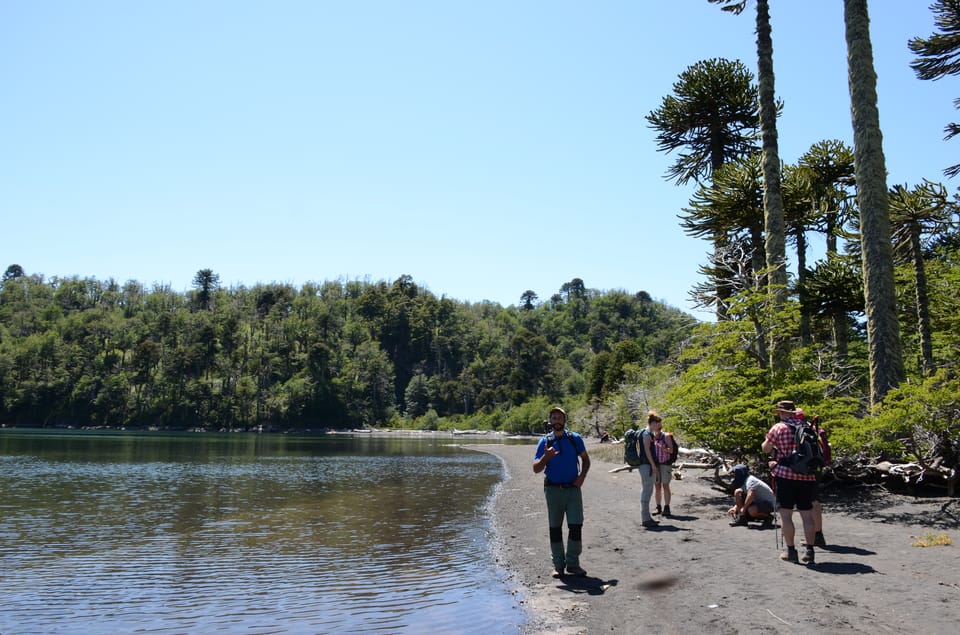 Pucon: Full-Day Villarrica National Park Hike | GetYourGuide