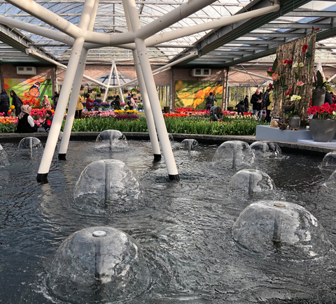 The BEST Lisse Tours and Things to Do in 2023 - FREE Cancellation ...