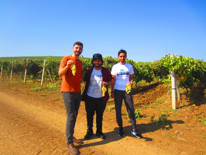 Baku: Pomegranate Wine Tour to Aghsu with Local Lunch | GetYourGuide