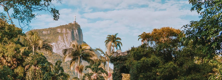 Tijuca National Park, Rio de Janeiro - Book Tickets & Tours | GetYourGuide