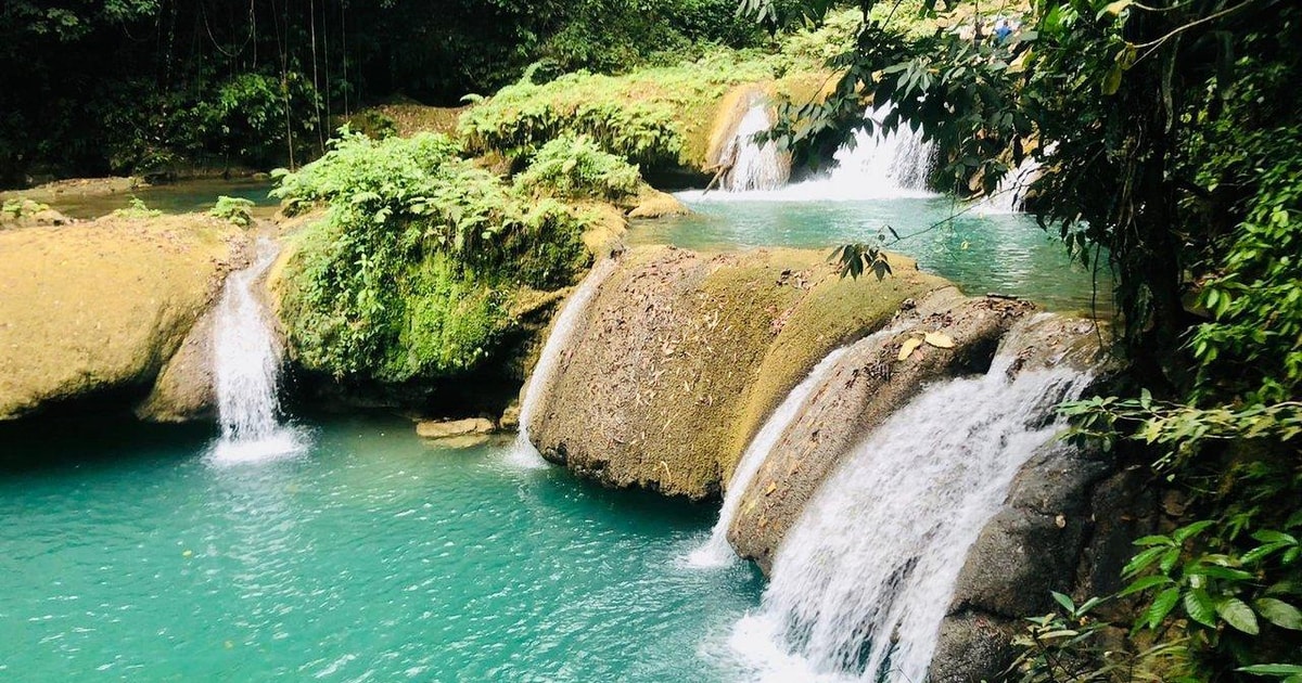 Tour e trasporto del Black River Safari e delle cascate di Ys | GetYourGuide