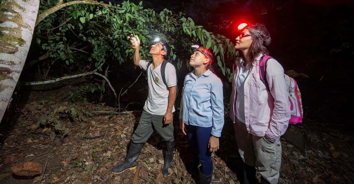 Van Madre de Dios | Nacht trektocht in het Amazonewoud | GetYourGuide