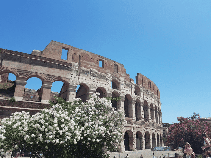 Rome: Colosseum Tour | GetYourGuide