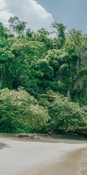 Puerto Princesa: Underground River, Zipline, Paddleboat Tour | GetYourGuide