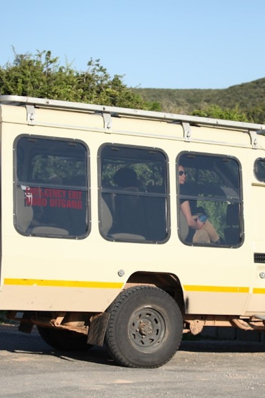 Full-Day All Inclusive Safari with Traditional Braai Lunch | GetYourGuide