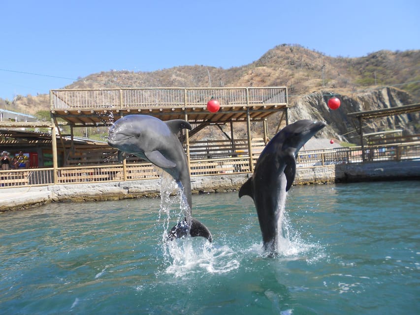 Santa Marta: museum van de zee en strandtour Playa Blanca | GetYourGuide