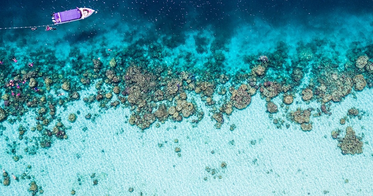 Islas Surin: Excursión de un día para nadar y bucear | GetYourGuide