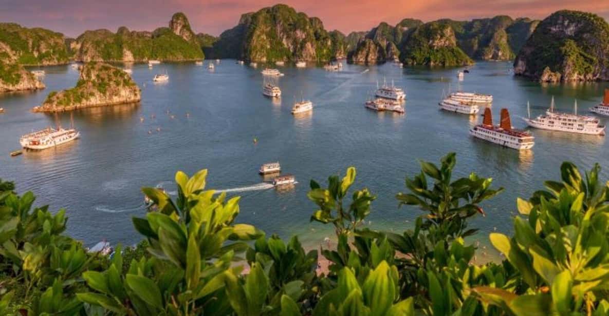Vanuit Hanoi: Halong Bay, Titop Eiland, Sung Sot & Luon Grotten ...