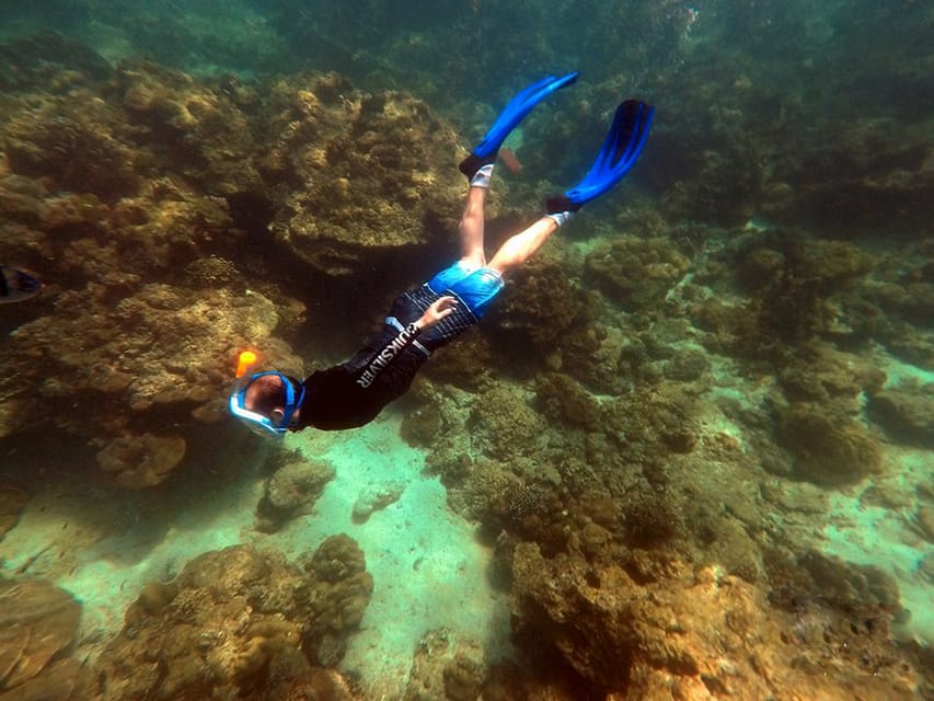 Ko Lanta: Excursión de snorkel en lancha rápida por Koh Rok y Koh Haa ...