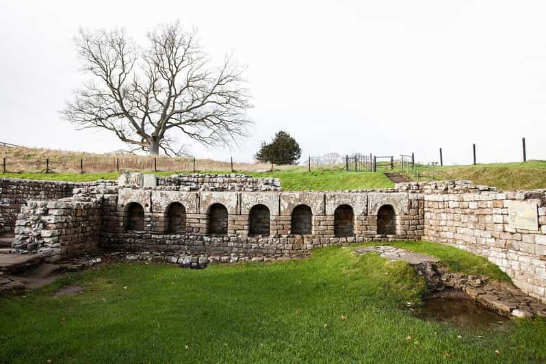Hadrianus mur: Chesters Roman Fort and Museum Entry Ticket | GetYourGuide