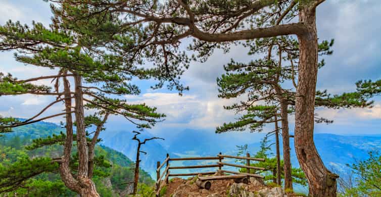 Tara National Park, Mokra Gora - Book Tickets & Tours | GetYourGuide