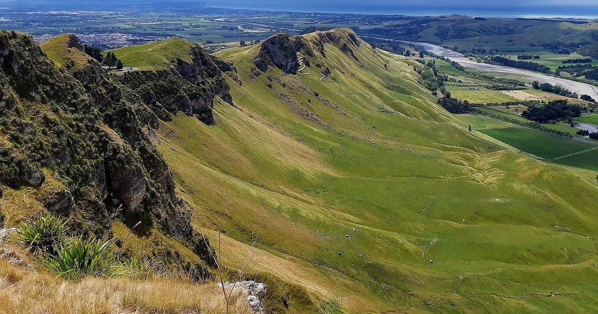 Napier: Private Sightseeing Tour + Wine Tasting | GetYourGuide