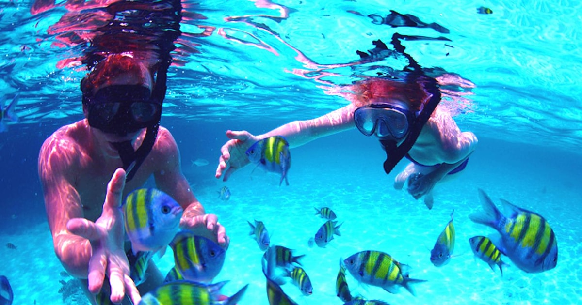 From UAE: Musandam Khasab Dolphin Watching Trip with Lunch | GetYourGuide