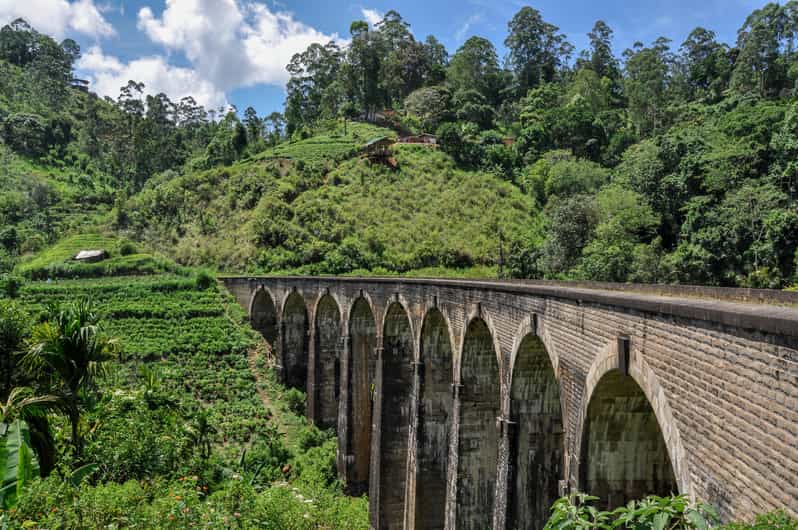 Ella: 9 Arch Bridge, Ella Rock, & Little Adam's Peak Tour | GetYourGuide