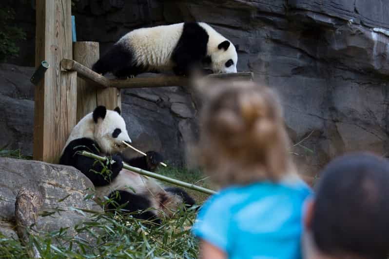Zoo Atlanta: General Admission Ticket | GetYourGuide