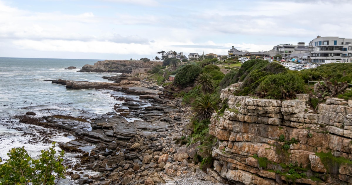Hermanus: Tour de día completo | GetYourGuide