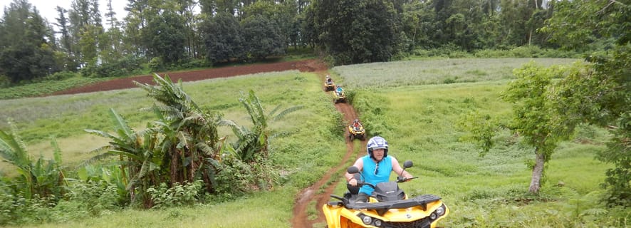 The BEST Moorea Tours and Things to Do in 2022 - FREE Cancellation ...