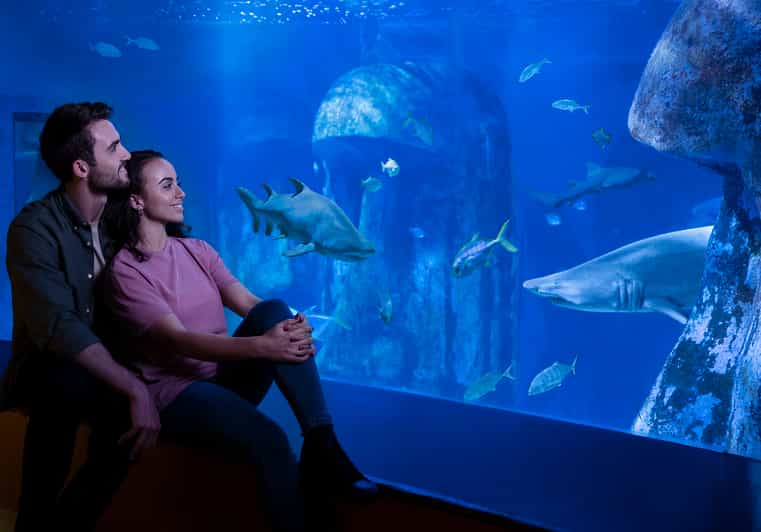 London: Madame Tussauds, London Eye & Sea Life, kombobiljett | GetYourGuide London: Madame Tussauds, London Eye & Sea Life, kombobiljett | GetYourGuide