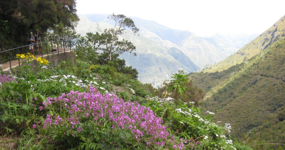 Madeira: Ganztägige geführte Rabaçal-Wanderung | GetYourGuide