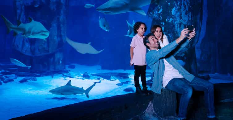 Sea Life London Aquarium, London - Book Tickets & Tours | GetYourGuide