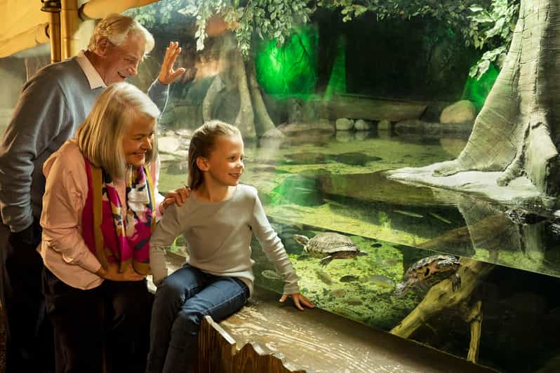 SEA LIFE London Entrance Ticket | GetYourGuide