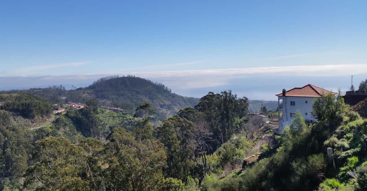 Paradise Valley half-day morning walk. | GetYourGuide