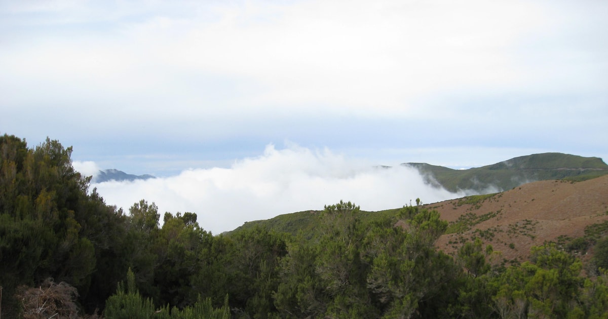 Levada do Alecrim (Lagos de Madeira) Senderismo de día completo ...