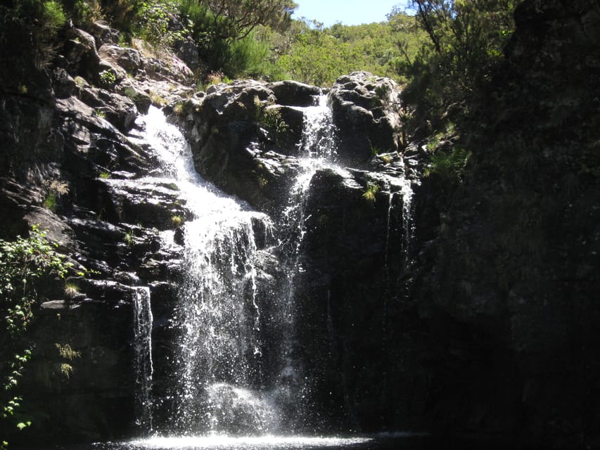 Levada do Alecrim (Madeira Lakes) Full-day walk | GetYourGuide