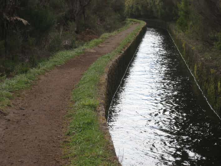 Levada do Alecrim (Madeira Lakes) Full-day walk | GetYourGuide